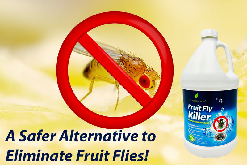 Natural Elements Fruit Fly Killer | Drain Flies, Gnats, Flying Ants
